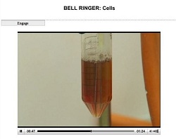 Cells - Bell Ringer: Life Science: TI Science Nspired