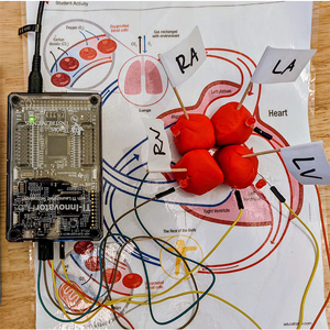 The Heartbeat of STEM