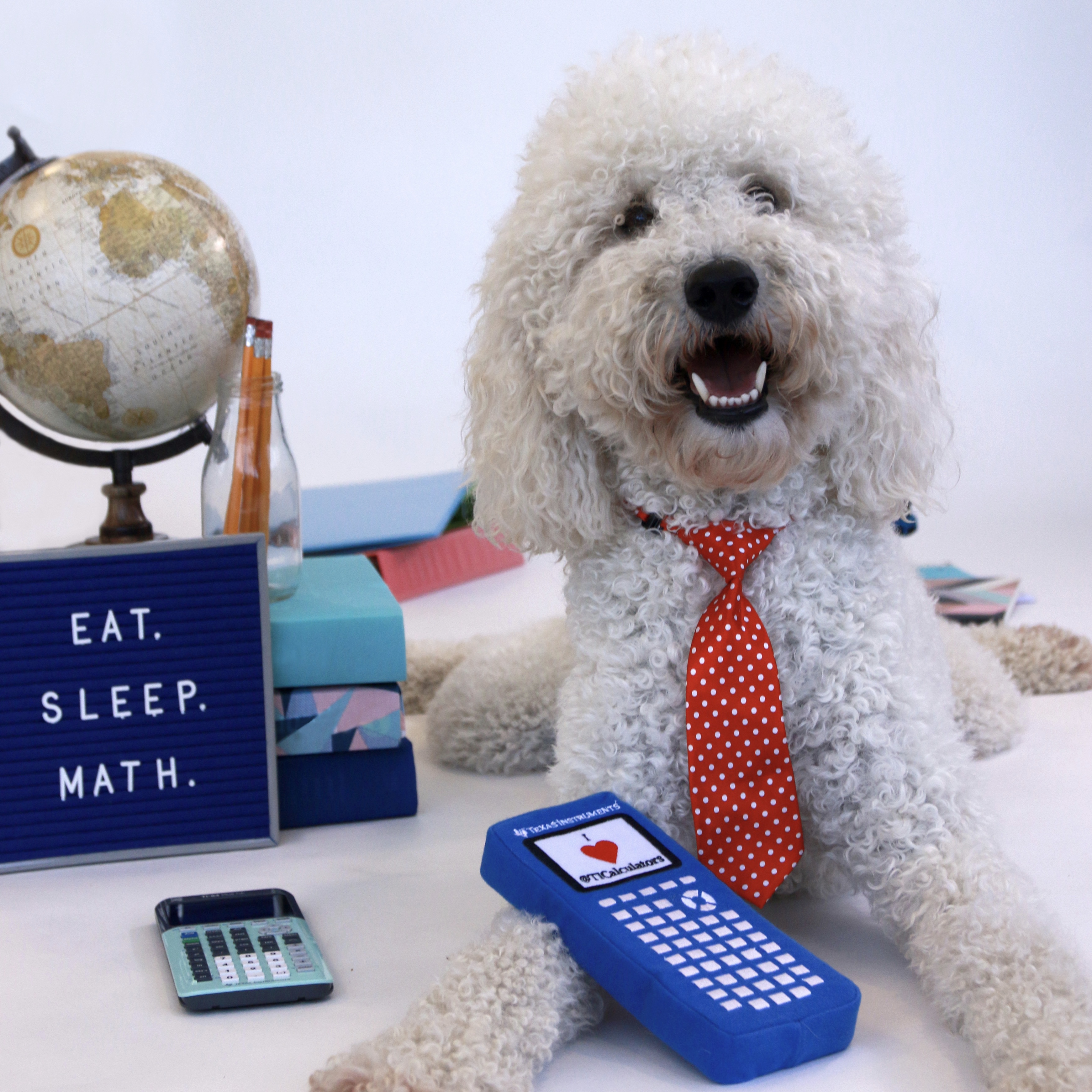 Three Pawsitively Fun TI-Nspire Math Activities