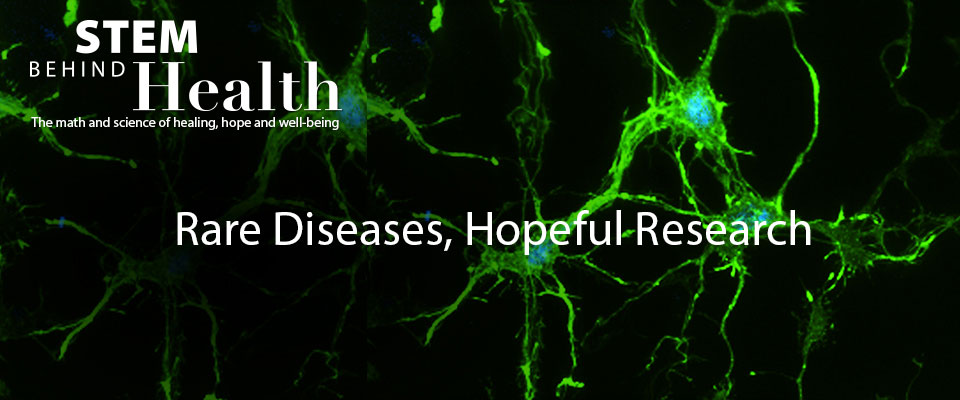 This problem-based activity gives middle grades and high school science ...