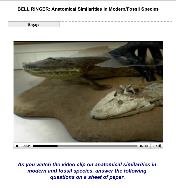 Classification of Life by Texas Instruments