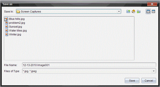Saving Captured Pages and Screens