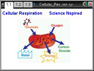 Science Nspired - Biology - Cells by Texas Instruments