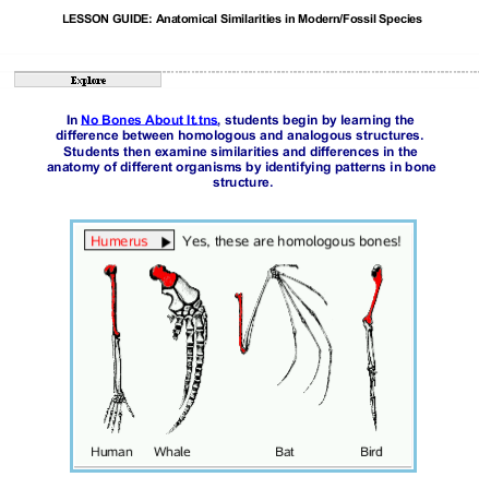 An Evolutionary Horse Race: Life Science: TI Science Nspired