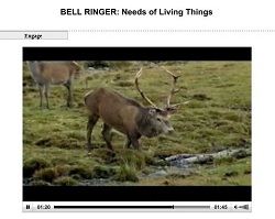 Science Nspired - Life Science - Classification of Life by Texas ...