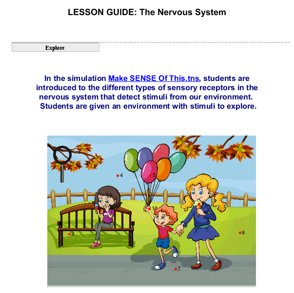 Science Nspired - Life Science - Human Body by Texas Instruments